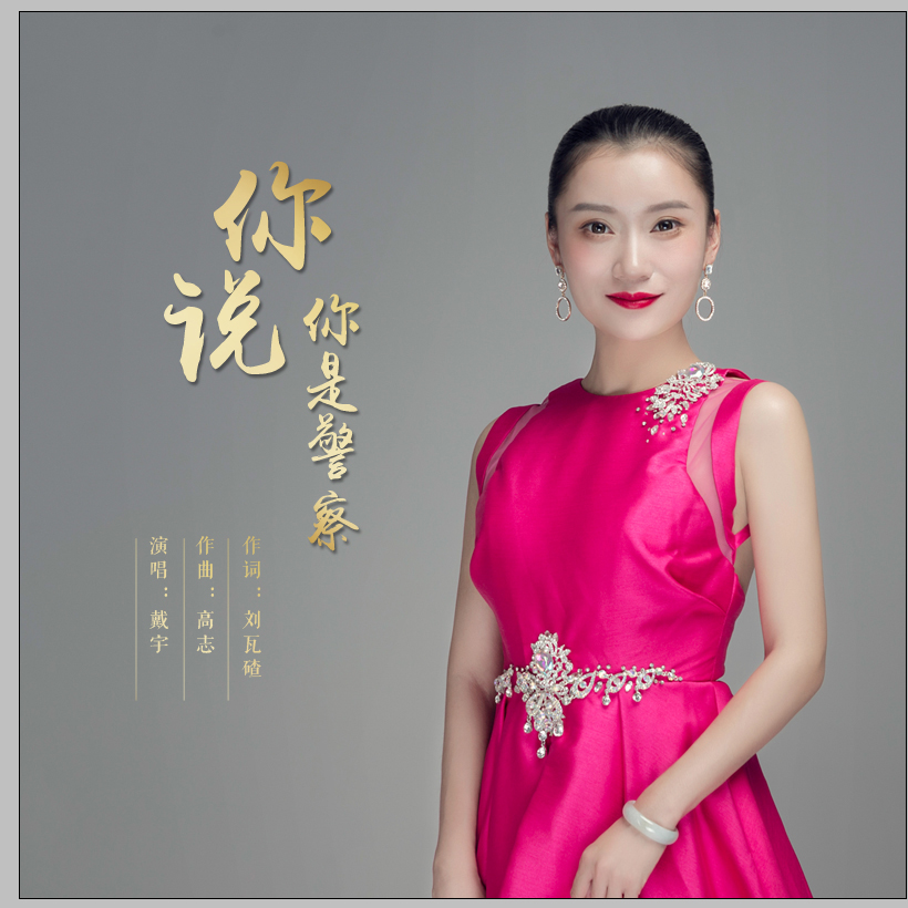 你说你是警察戴宇高音质在线试听你说你是警察歌词歌曲下载酷狗音乐