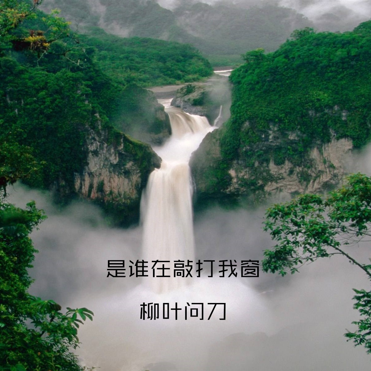 是谁在敲打我窗 柳叶问刀 高音质在线试听 是谁在敲打我窗歌词 歌曲下载 酷狗音乐