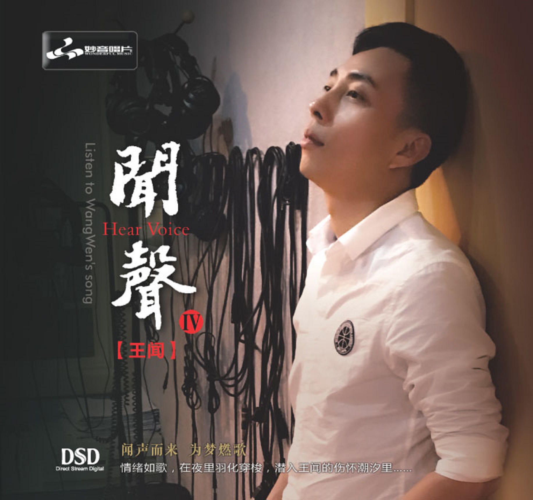 每夜唱不停王闻高音质在线试听每夜唱不停歌词歌曲下载酷狗音乐 
