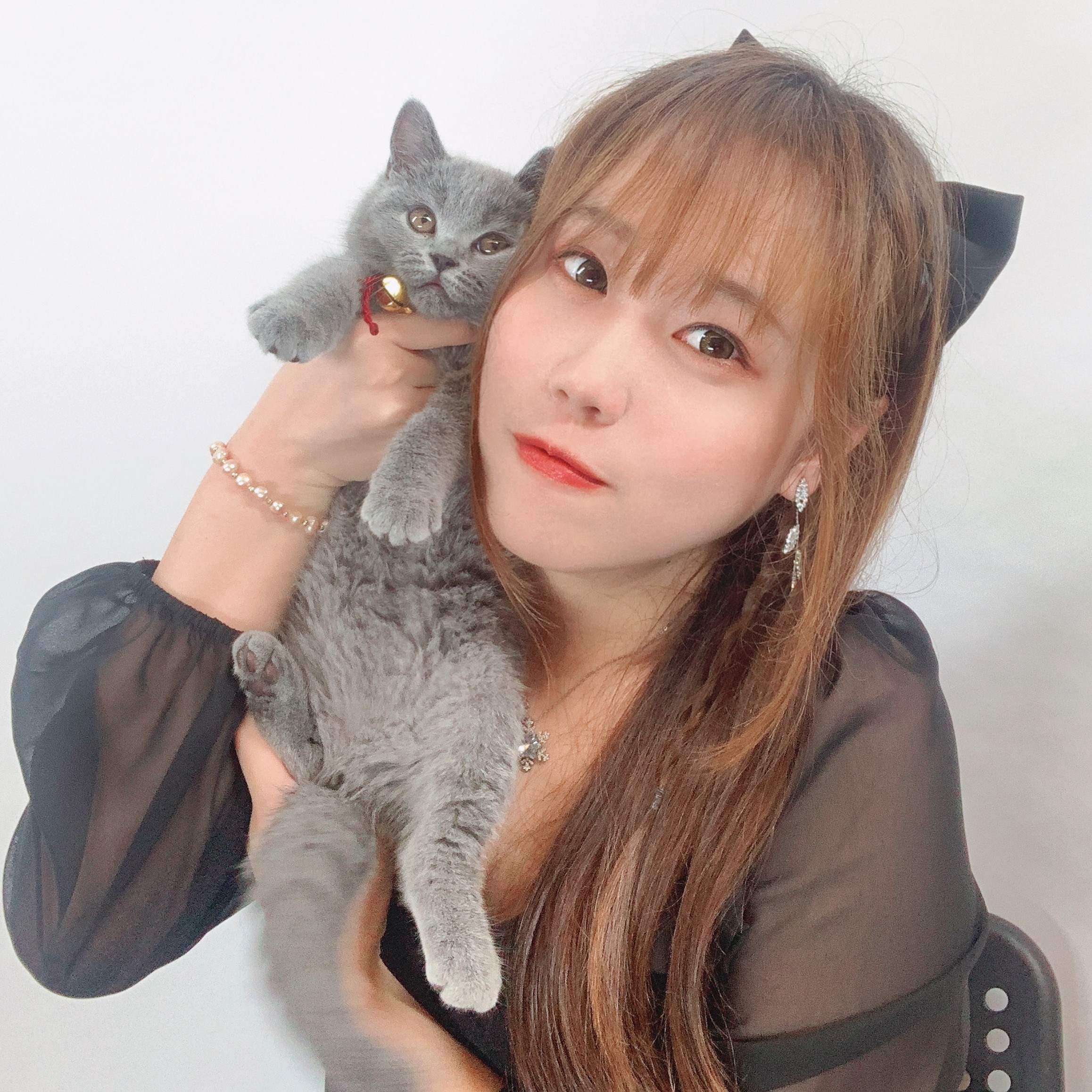 热爱105°C的你_樱萍Apple_高音质在线试听_热爱105°C的你歌词|歌曲下载_酷狗音乐