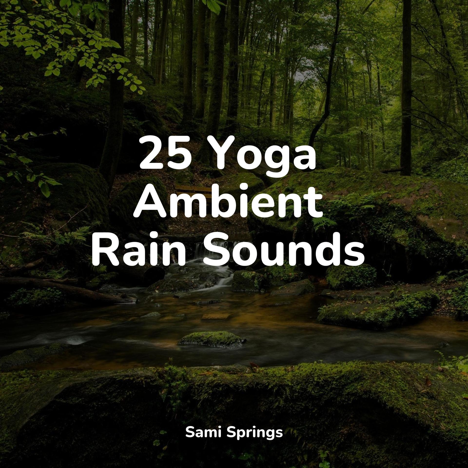 Glass Rains Meditation Relaxation Club、thunder And Rain Storm、nature