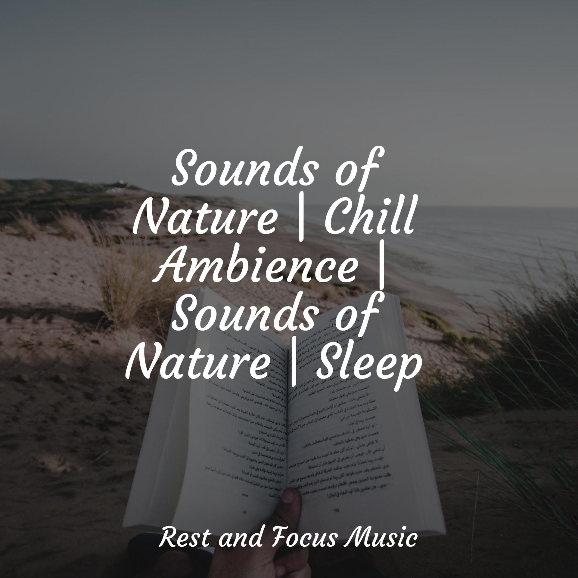 Fall Time Colors White Noise For Babies Massagem Reiki Music 
