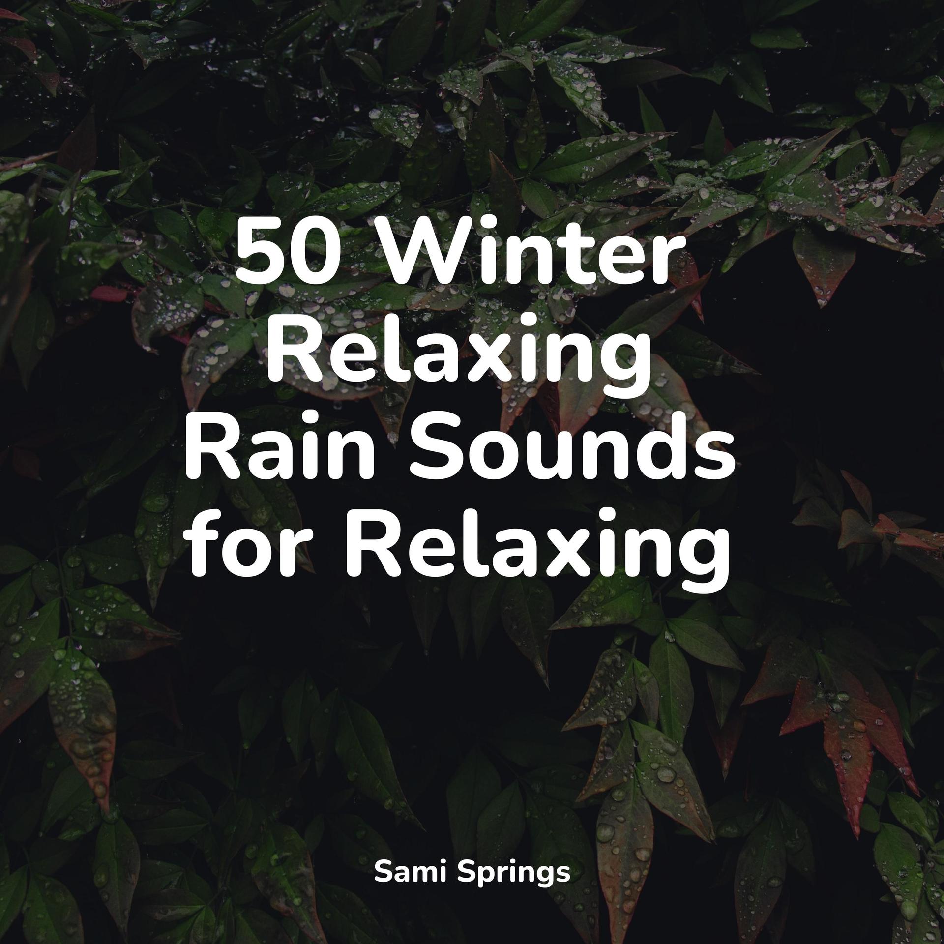 Rain Glass Window Pane Musique Zen Garden、rest And Relax Nature Sounds