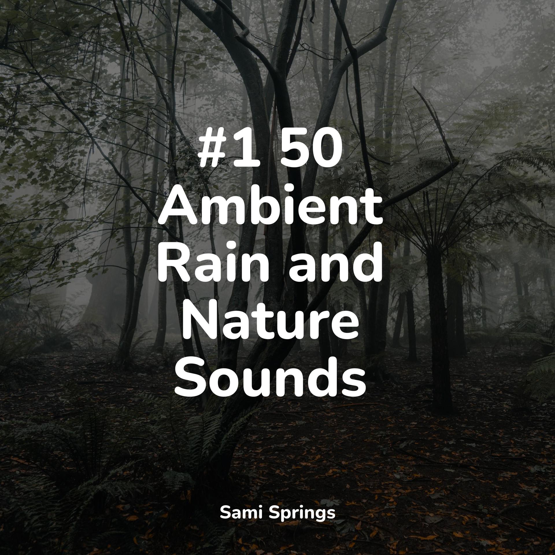 Calming Ocean Deep Sleep Systems、cascada De Lluvia、white Noise