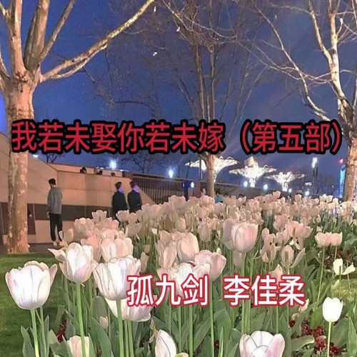 我若未娶你若未嫁孤九剑、李佳柔高音质在线试听我若未娶你若未嫁歌词歌曲下载酷狗音乐 