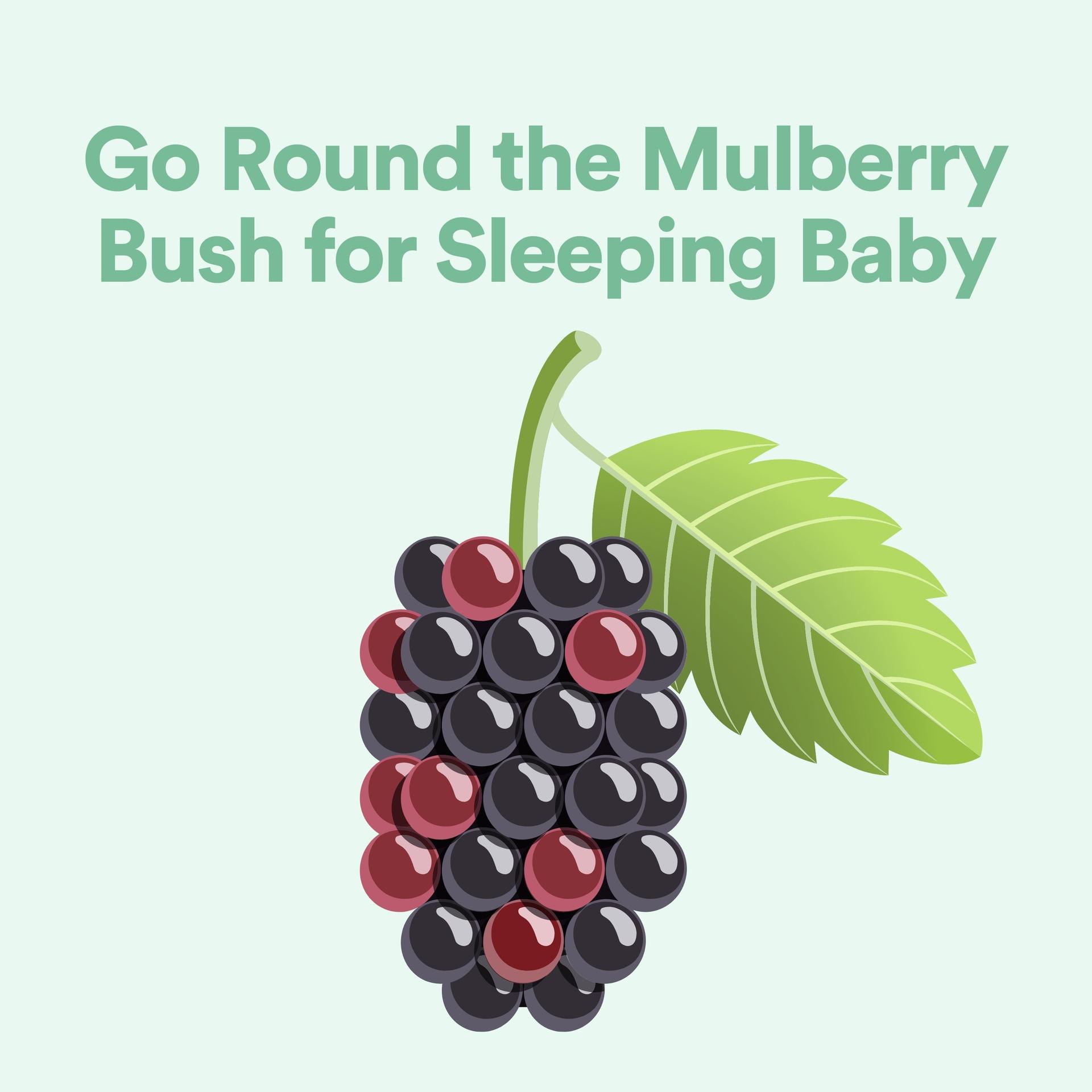 Mulberry Bush Gentle Nursery Rhyme Lullaby Orchestra Mulberry 