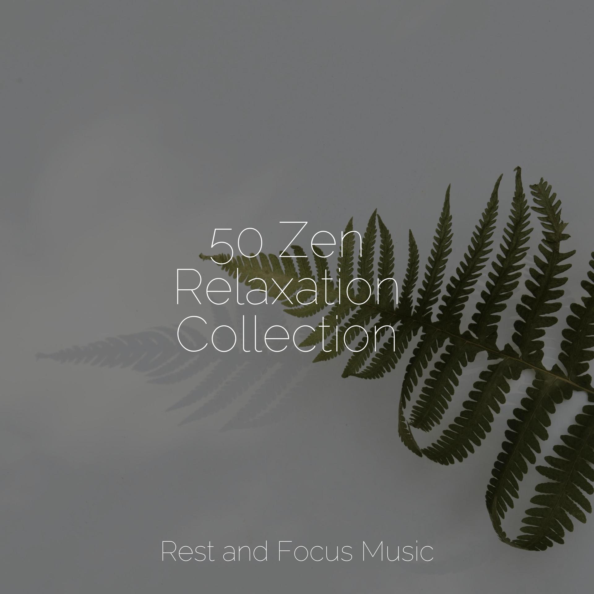 Relaxing Touch Ambient Forest、life Sounds Nature、tranquility Spa