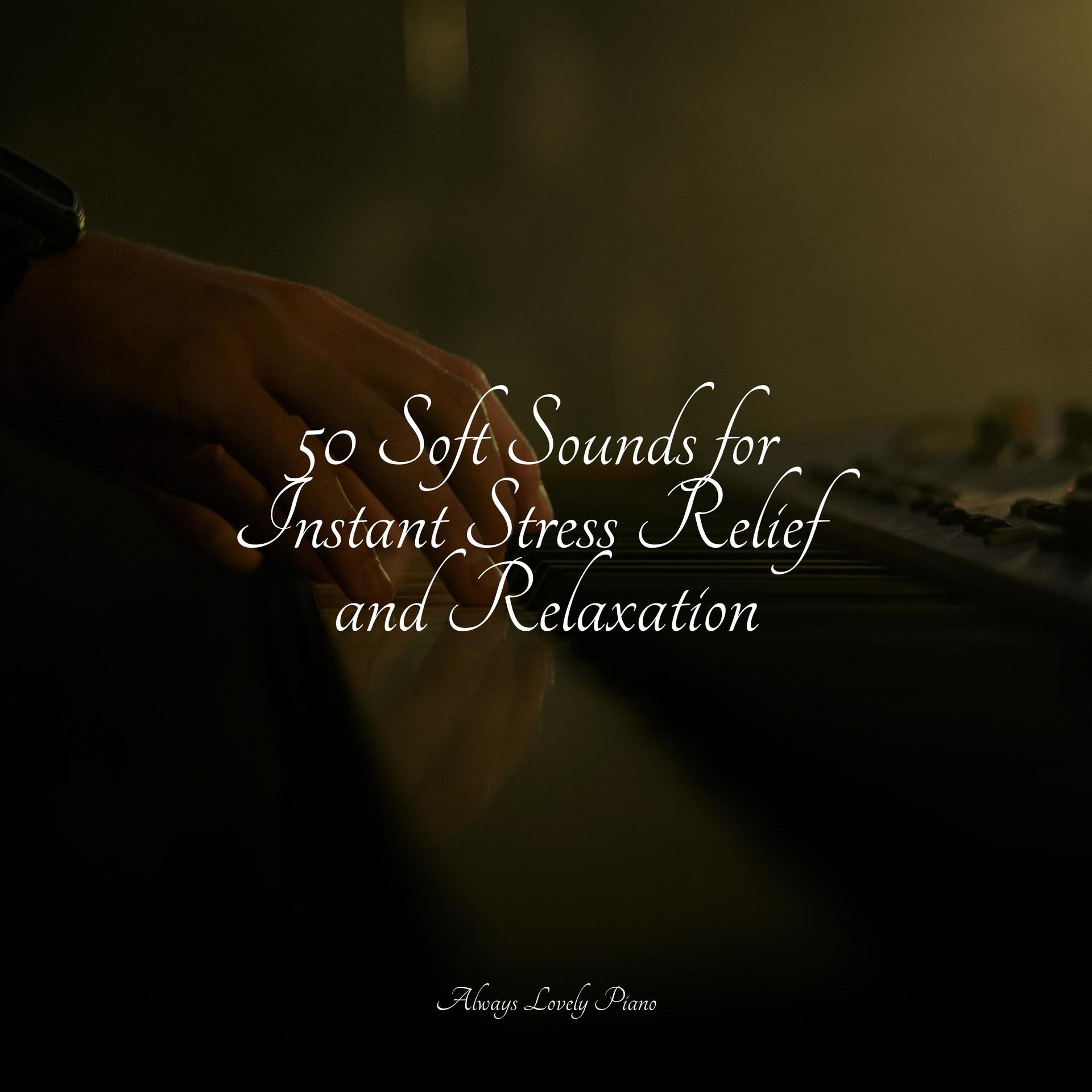 Liszt Consolation No 3 In D Flat Major Lento Placido Soulful Piano