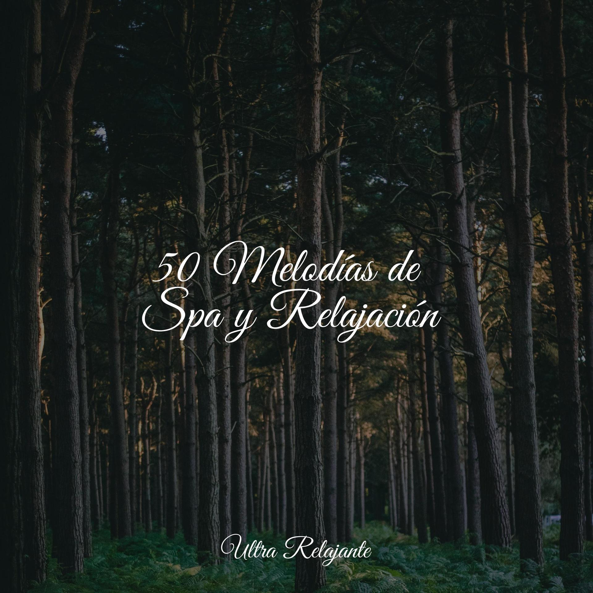 Relajación En Cascada Música De Relajación Para Dormir Profundamente