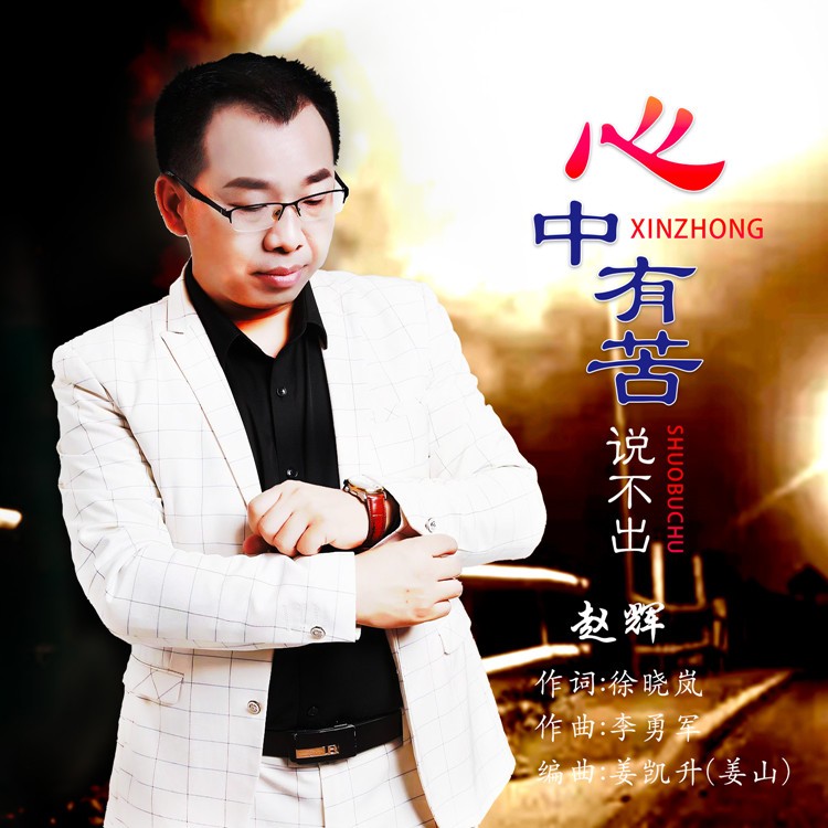 心中有苦说不出赵辉高音质在线试听心中有苦说不出歌词歌曲下载酷狗音乐