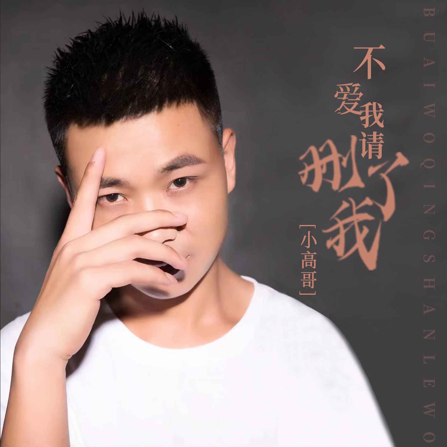 不爱我请删了我小高哥高音质在线试听不爱我请删了我歌词歌曲下载酷狗音乐