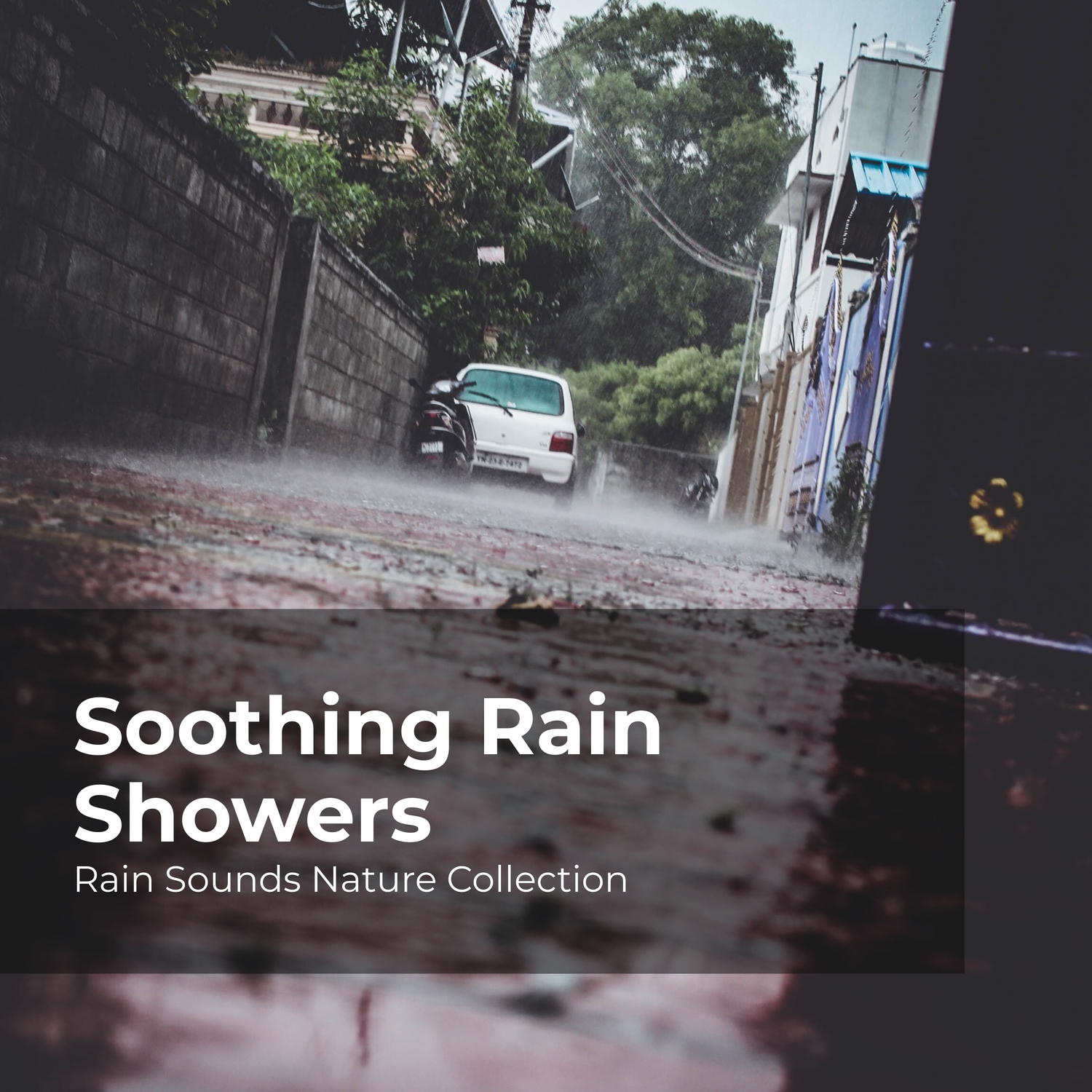 Birds In Pelting Rainfall Rain Sounds Nature Collection、asmr Rain
