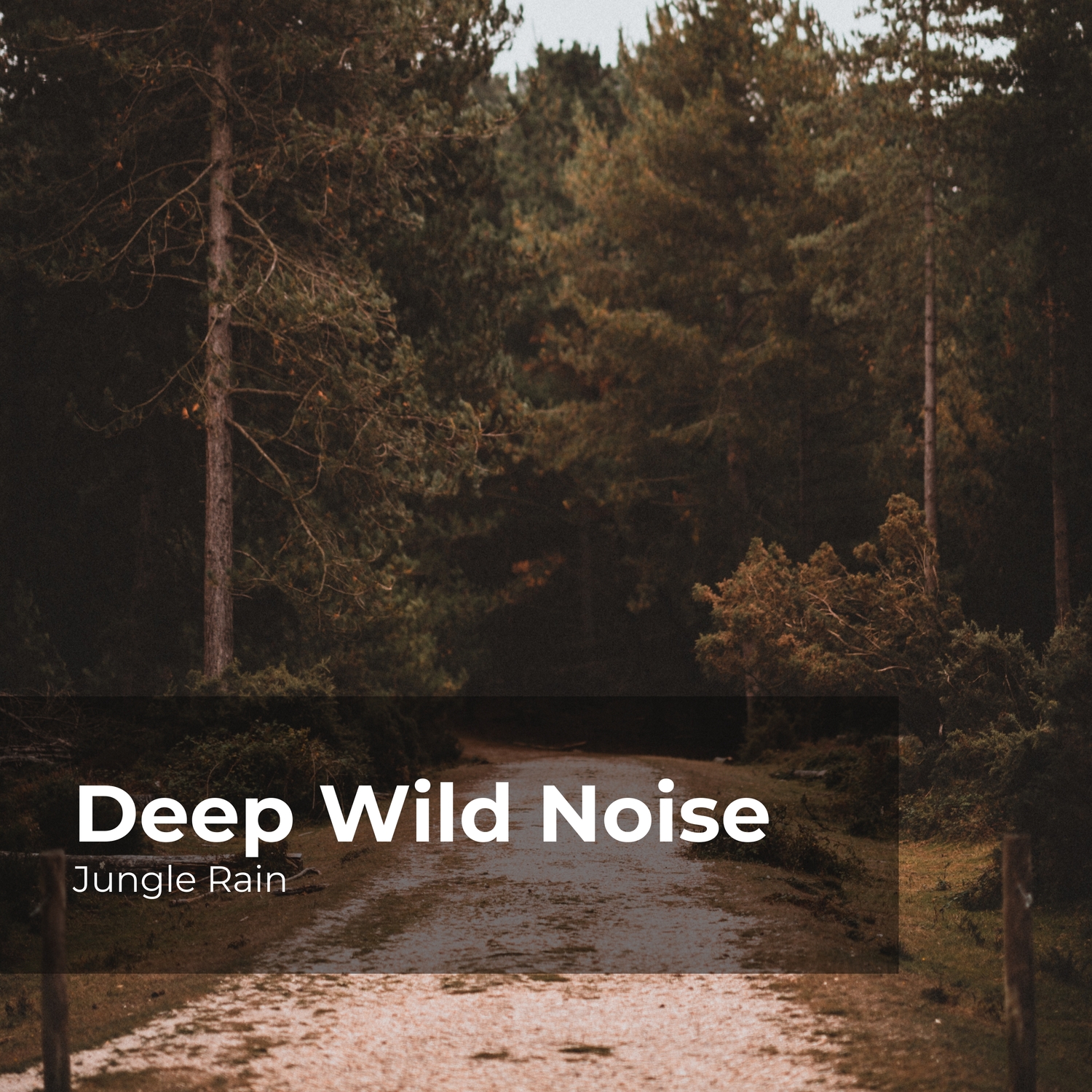 Song Of Nature Jungle Rain、nature And Rain、deep Rain Sampling 高音质在线试听