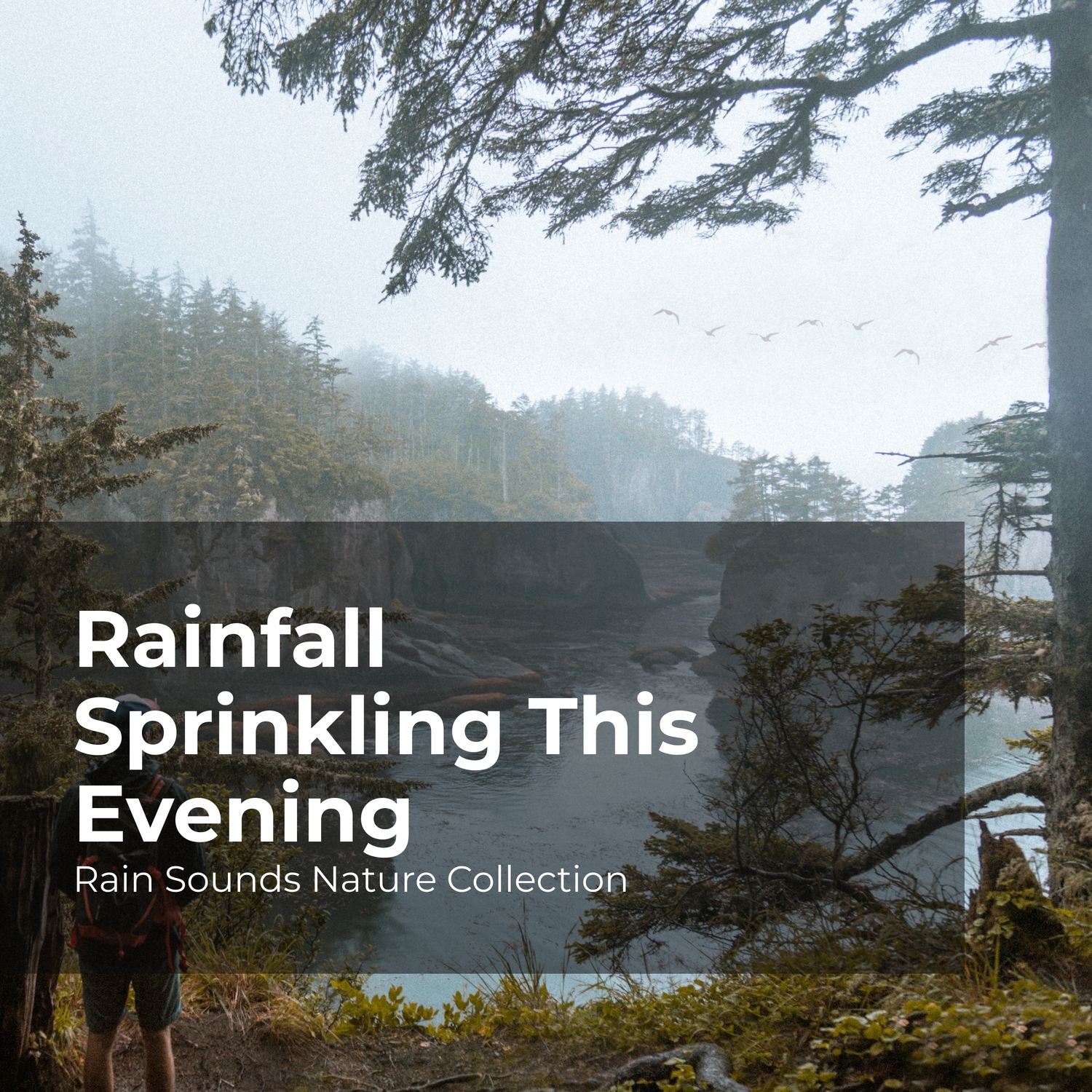 Lush Nature Rainy Day Rain Sounds Nature Collection、asmr Rain Sounds
