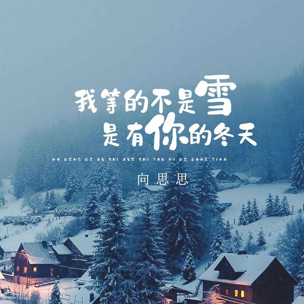 我等的不是雪向思思高音质在线试听我等的不是雪歌词歌曲下载酷狗音乐