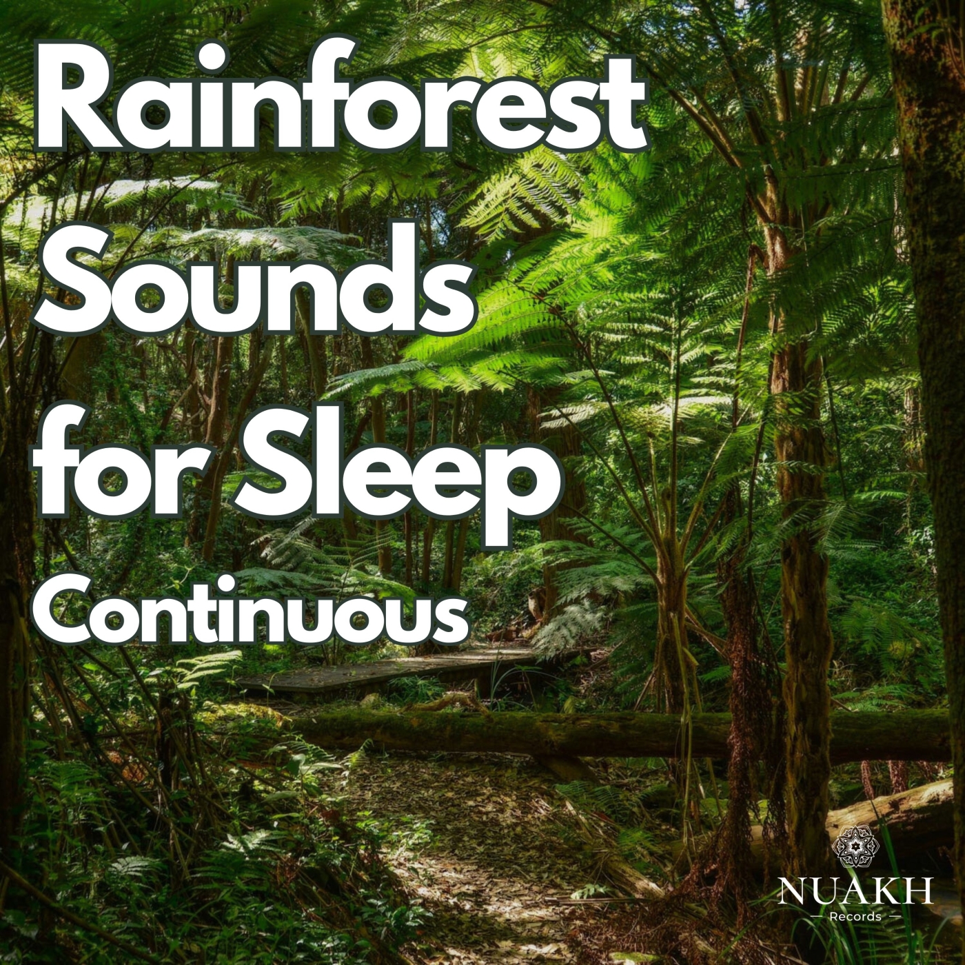 Rainforest Sounds for Sleeping, Pt. 06 (Continuous)_Relaxing Rain Sounds、Rain Sounds for Sleep_高 ...