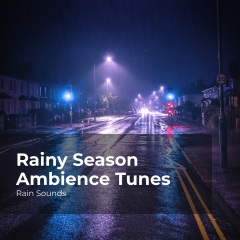 Rain Sounds、Natural Rain Sounds for Sleeping、Rain Storm Sample Library ...